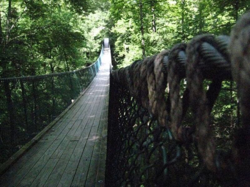 Foxfire Mountain: Hiking & Swinging Bridge Family Adventure - A Closer Look at Foxfire Mountain