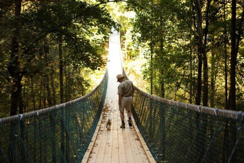 Foxfire Mountain: Hiking & Swinging Bridge Family Adventure - Authentic Perspectives from Visitors