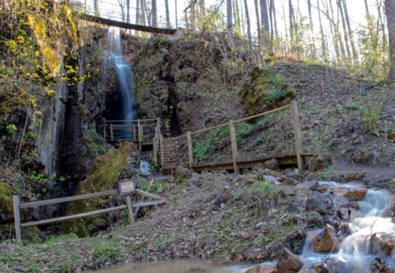 Foxfire Mountain: Hiking & Swinging Bridge Family Adventure - Practical Tips for Visiting Foxfire Mountain