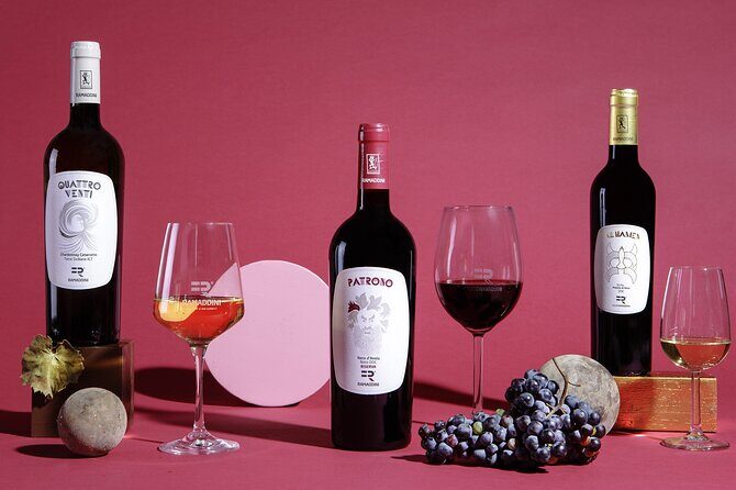 FR Lovers Wine Tasting - The Sum Up