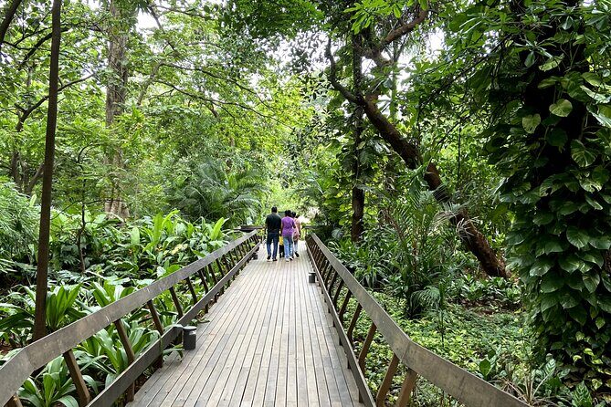 Fragrance Walk and Botany of Ancient Texts Tour - Introduction