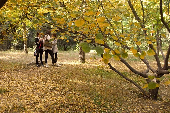 Fragrant Hill and Botanical Garden Self-Guide Day Trip With Private Driver - Final Words