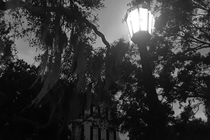 Fraidy Cat: The Family Fun Ghost Tour of Savannah - Who Will Love This Tour?