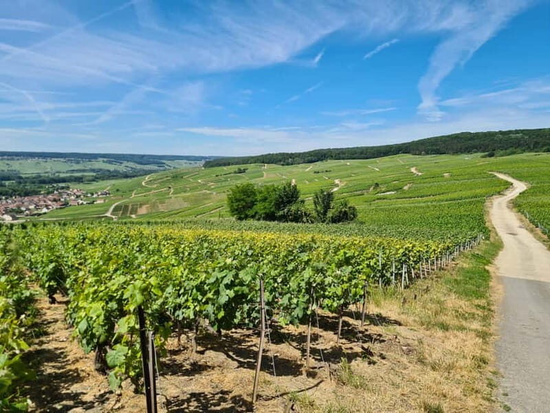 France: Private Wine Tasting Tour with Chauffeur from Paris - An In-Depth Look at the Experience