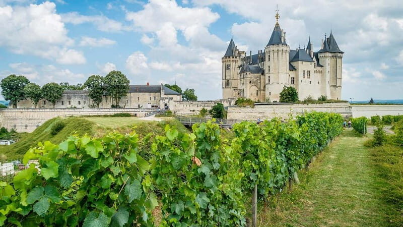 France: Private Wine Tasting Tour with Chauffeur from Paris - Who Should Consider This Tour?