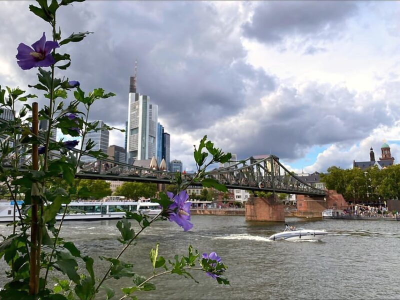 Frankfurt: Discover the heart of Frankfurt - a city tour in Russian - Who Should Consider This Tour?