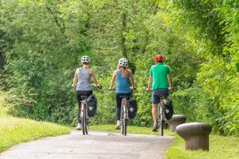 Frankfurt: Full-Day Bicycle or E-Bike Rental - Who Should Consider This Rental?