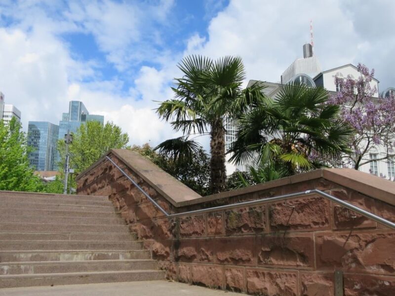 Frankfurt: Guided walk between palm trees and skyline - What you’ll see and experience