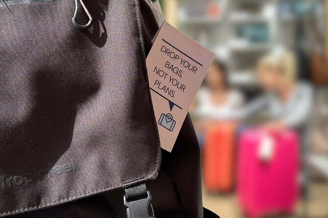 Frankfurt Luggage Storage - Real Traveler Feedback: Authentic Perspectives