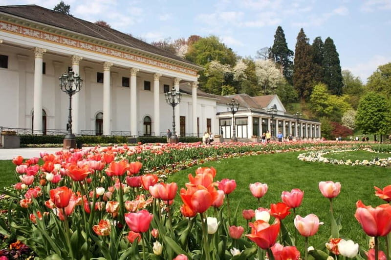Frankfurt to Black Forest, Baden-Baden, Freiburg and by Car - What’s Included and How the Tour Works