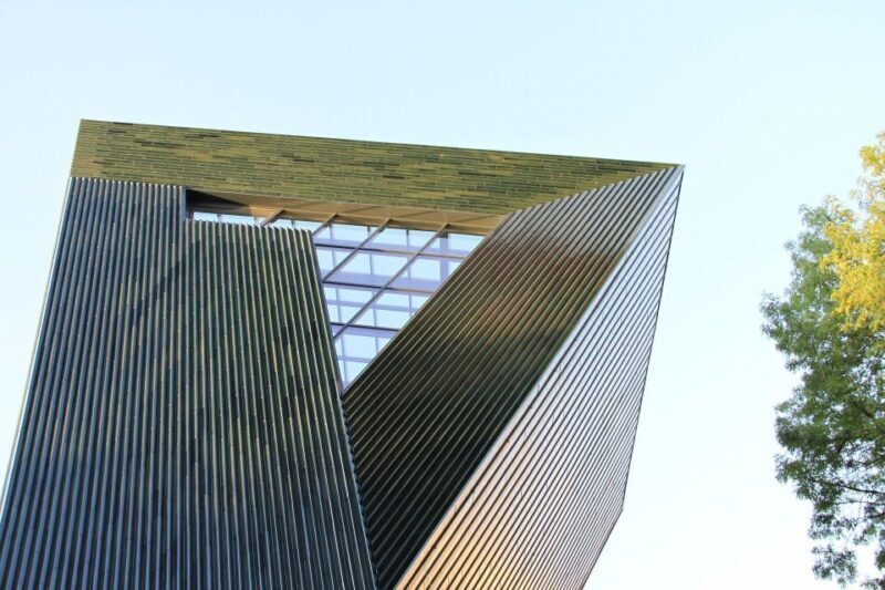 Frankfurt to Mainz Private Excursion with public transport - Who Should Consider This Tour?