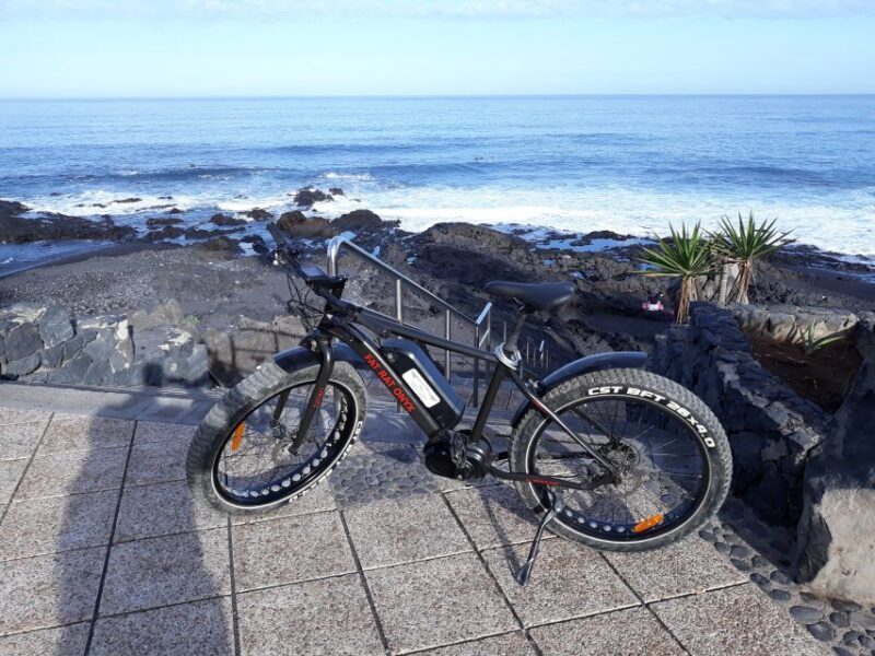Frankfurt: Unique E-Bikes Tours - The Logistics: Support and Comfort