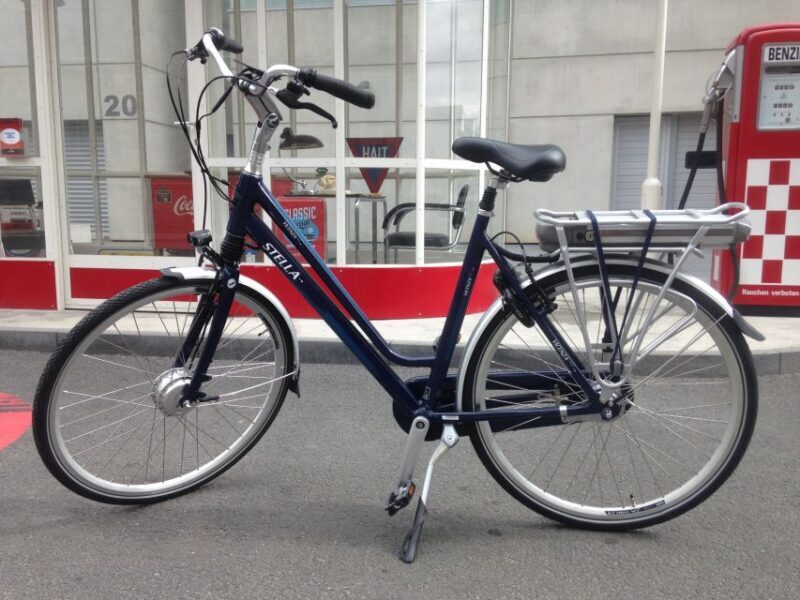 Frankfurt: Unique E-Bikes Tours - Who Will Love This Tour?