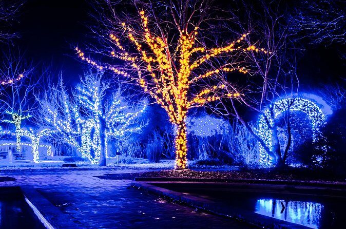 Franklins Festive Lights Spectacular A Christmas Wonderland Tour - Is This Tour Worth the Cost?