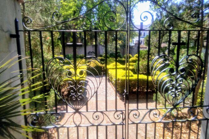 Frankly Charleston Morning Walking Tour - Who Will Love This Tour?