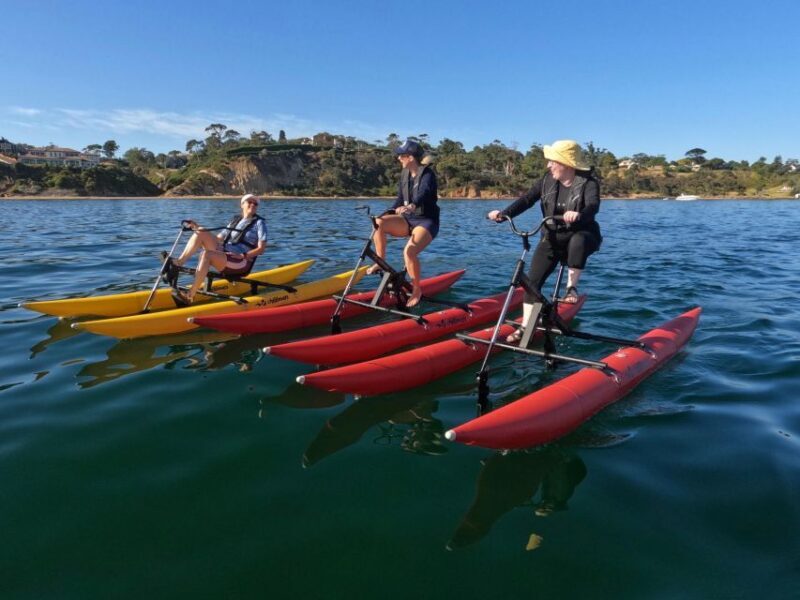 Frankston: Port Phillip Bay Water Bike Tour - An Overview of the Water Bike Tour