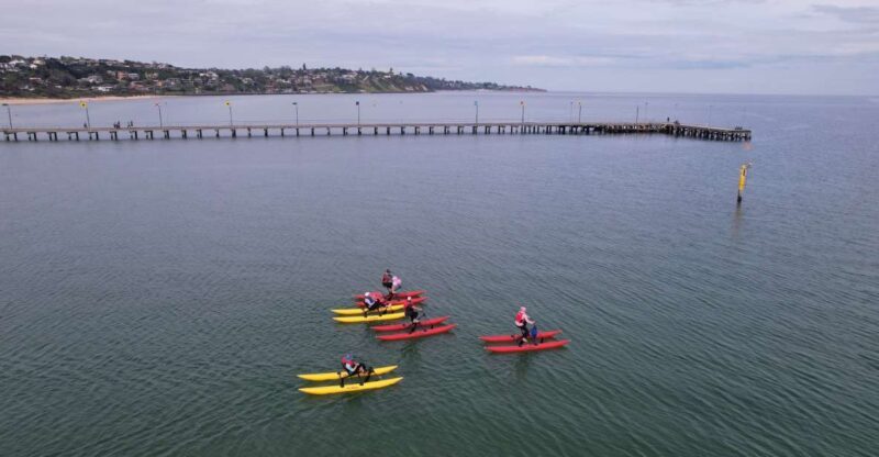 Frankston: Port Phillip Bay Water Bike Tour - What Makes This Tour Special?
