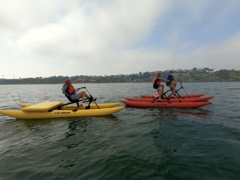 Frankston: Port Phillip Bay Water Bike Tour - Reviews Insight