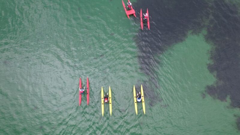 Frankston: Port Phillip Bay Water Bike Tour - Who Should Consider This Experience?