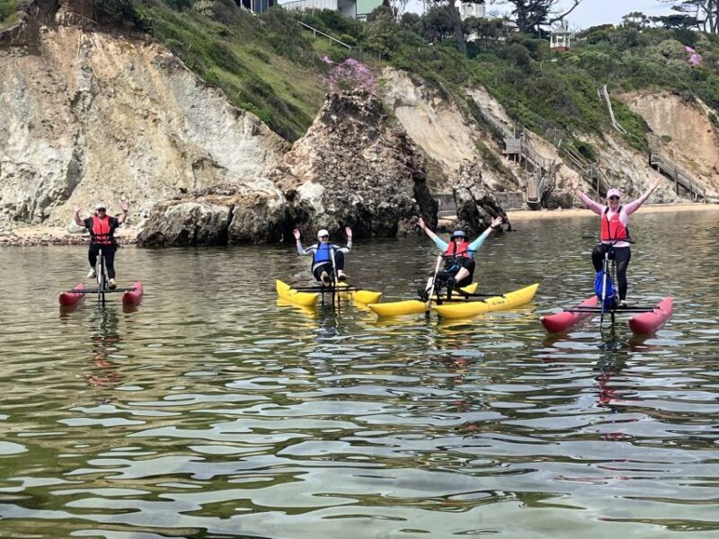 Frankston: Port Phillip Bay Water Bike Tour - The Sum Up
