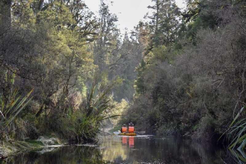 Franz Josef: 3-Hour Kayak Tour on Lake Mapourika - Overview of the Lake Mapourika Kayak Tour