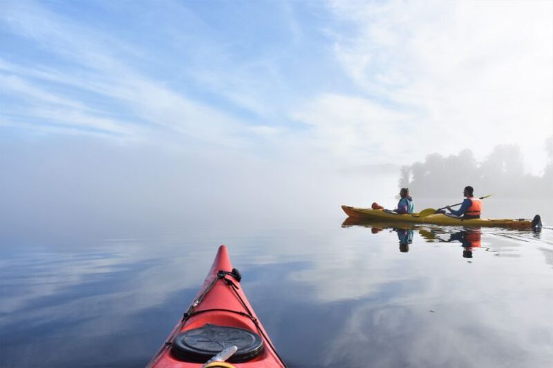 Franz Josef: 3-Hour Kayak Tour on Lake Mapourika - Final Thoughts: Who Is This Tour Best For?