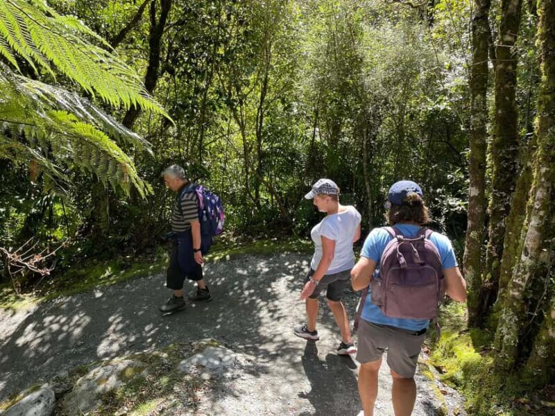 Franz Josef: Franz Josef Glacier Lookout Guided Walk - In The Sum Up