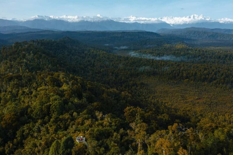 Franz Josef: Half-Day Guided Tour to Okarito - What Sets This Tour Apart