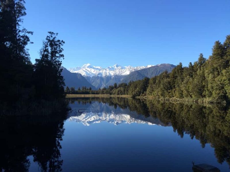 Franz Josef: Half-Day Nature Tour to Lake Matheson - A Scenic Journey into New Zealand’s Unique Ecosystem