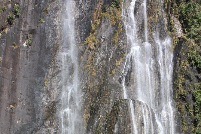 Franz Josef Nature Tour - Who Should Book This Tour?