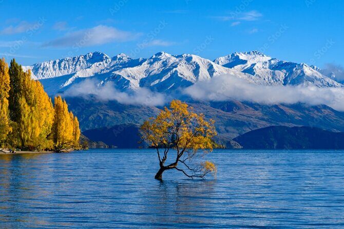 Franz Josef to Queenstown Small Group Tour via Wanaka 1 -Way - Why This Tour Works