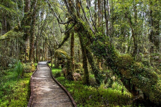 Franz Josef to Queenstown Small Group Tour via Wanaka 1 -Way - Frequently Asked Questions