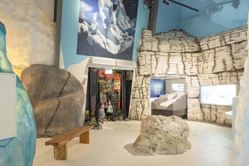 Franz Josef: West Coast Wildlife Centre Entry Ticket - The Upcoming Penguin Encounter: A Future Highlight