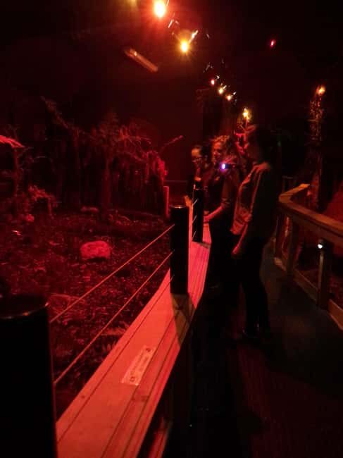 Franz Josef: West Coast Wildlife Centre Entry Ticket - The Practicalities: What to Expect and How to Make the Most of Your Visit