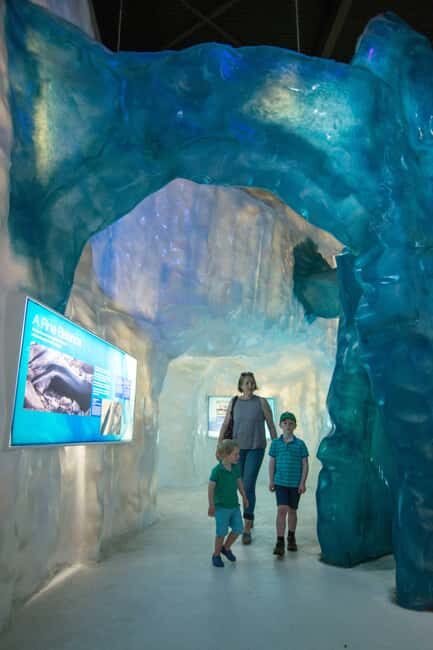 Franz Josef: West Coast Wildlife Centre Entry Ticket - The Cost versus the Experience