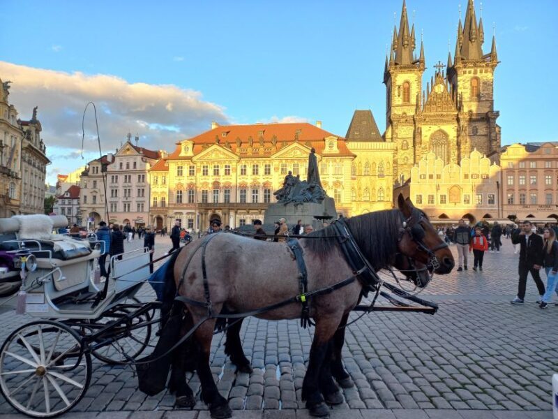 Franz Kafka and his Prague - What to Expect: The Experience’s Highlights and Practicalities