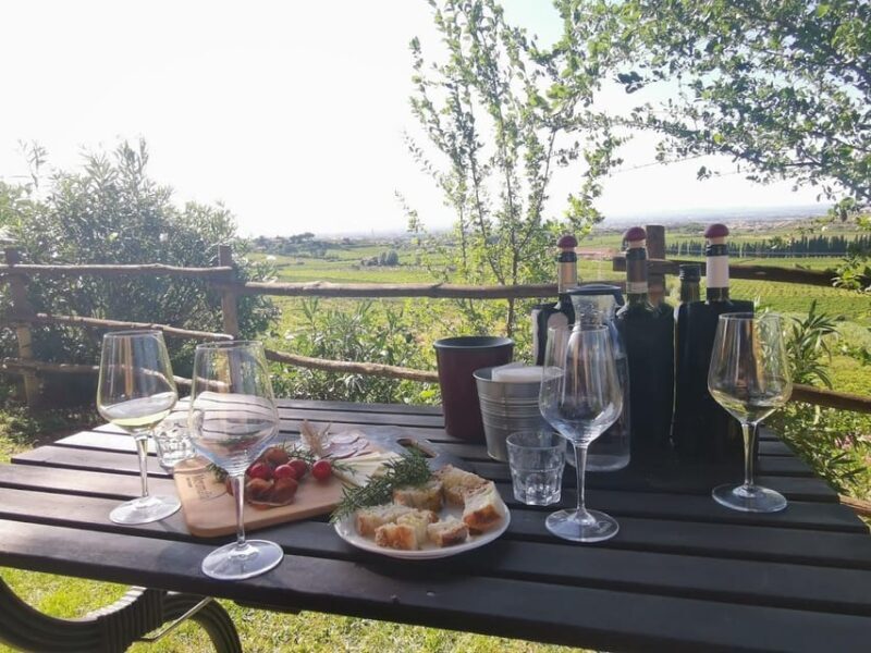 Frascati: 2-Hours Wine and Oil Tasting with Vineyards Tour - Key Points