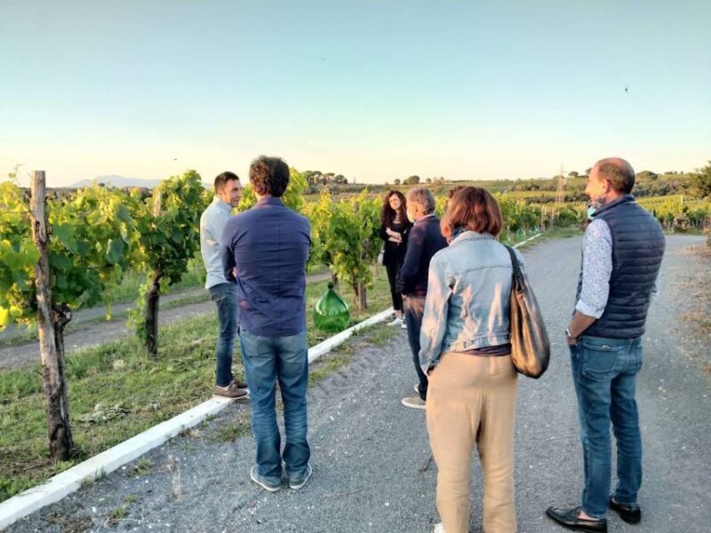 Frascati: 2-Hours Wine and Oil Tasting with Vineyards Tour - An Authentic Taste of Roman Countryside