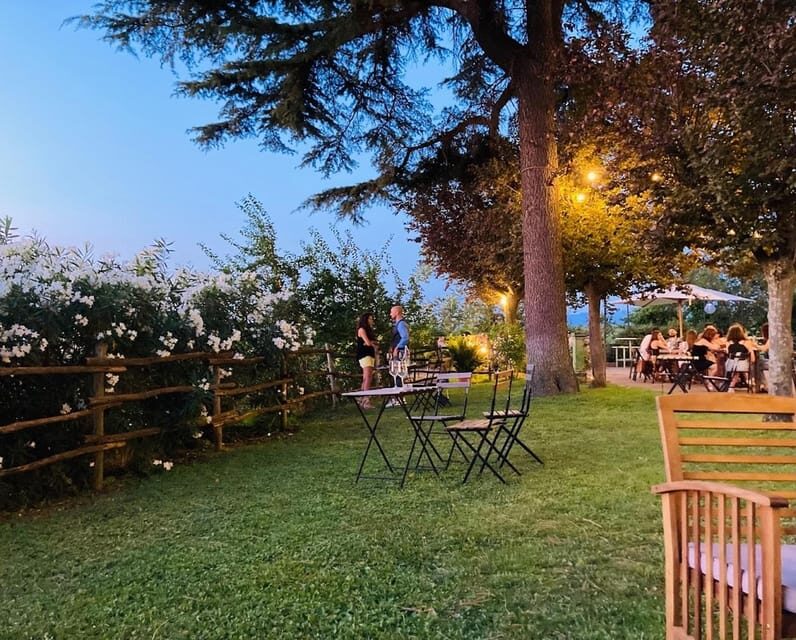 Frascati: 2-Hours Wine and Oil Tasting with Vineyards Tour - Who’s It Perfect For?