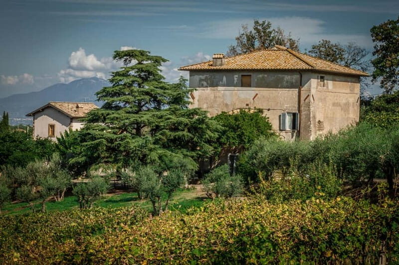 Frascati: Half Day Wine Tour - The Itinerary: A Closer Look at What You’ll Experience