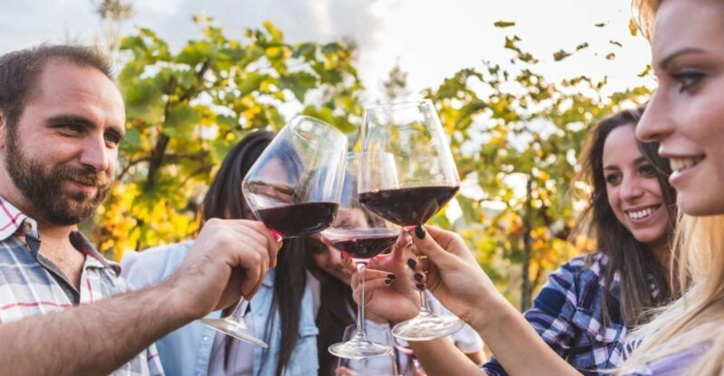 Frascati Private Tour w/ Lunch & Wine Tasting in a Vineyard - Who Might Want to Consider Other Options
