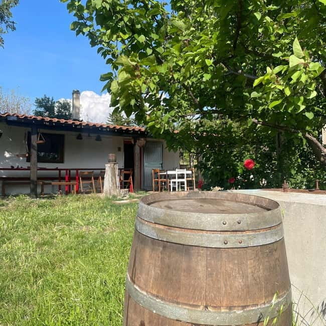 Frascati: Vineyard Wine Tasting Tour with Snacks - Who Should Consider This Tour?