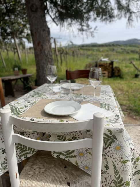 Frascati: Vineyard Wine Tasting Tour with Snacks - Final Thoughts