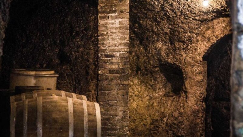 Frascati Wine Road from Rome: Tasting & Lunch - In The Sum Up