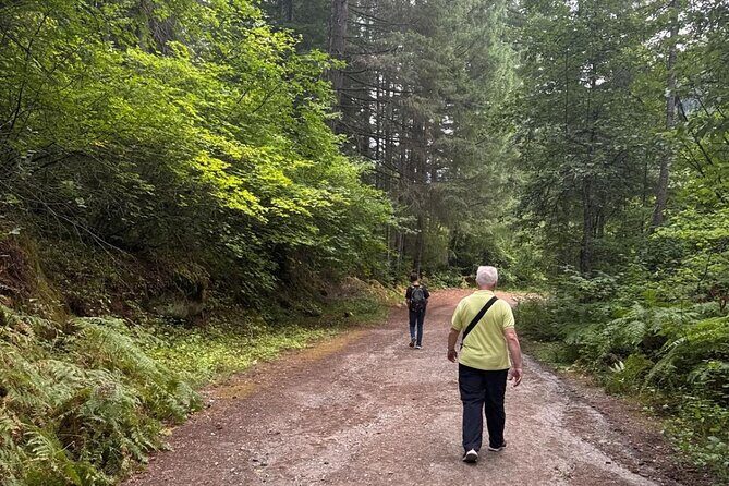 Fraser Canyon Day Tour Falls, Tunnels and Hell Gate - The Experience for Travelers
