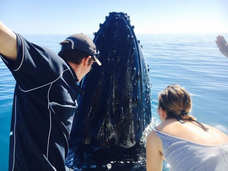 Fraser Island (K'gari): Remote Island and Whale Experience - The Itinerary: A Day of Discovery and Adventure