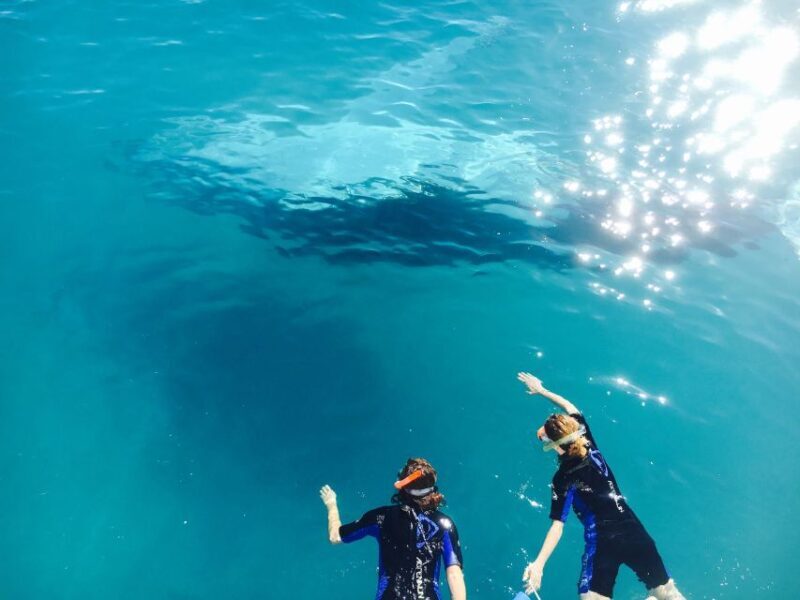 Fraser Island (K'gari): Remote Island and Whale Experience - Authentic Experiences That Shine