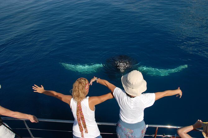 Fraser Island Whale Watch Encounter - Why This Tour Offers Great Value