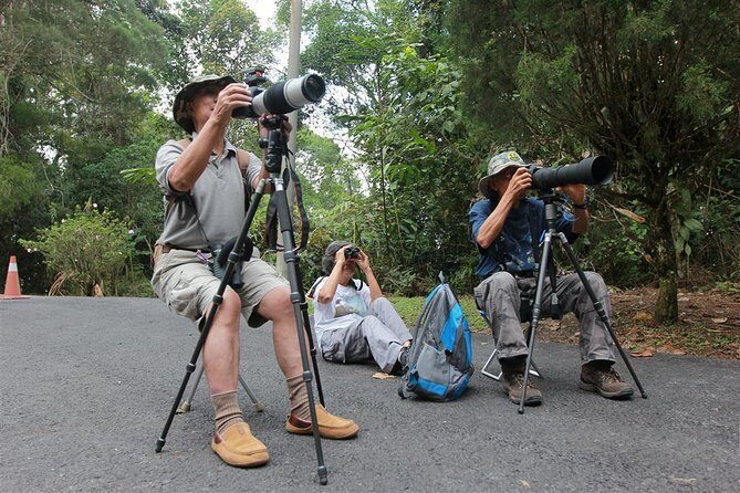 Fraser's Hill Bird-Watching & Nature Sightseeing Tour from Kuala Lumpur - An In-Depth Look at the Tour Experience