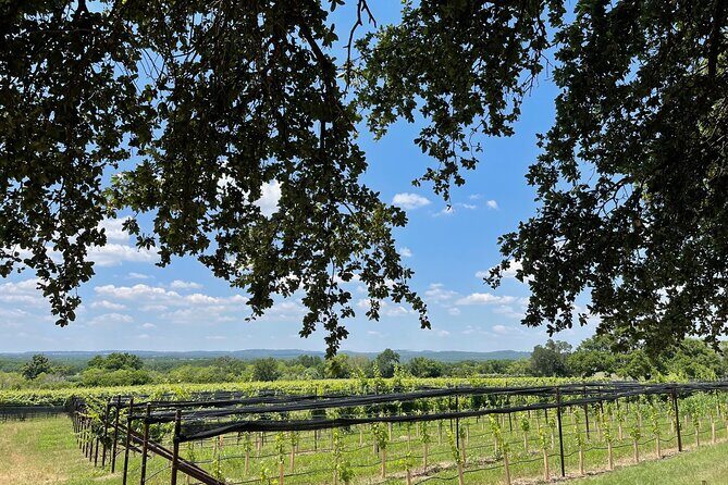 Fredericksburg Texas Area Wine Tastings: 3 Wineries and Lunch - Final Thoughts